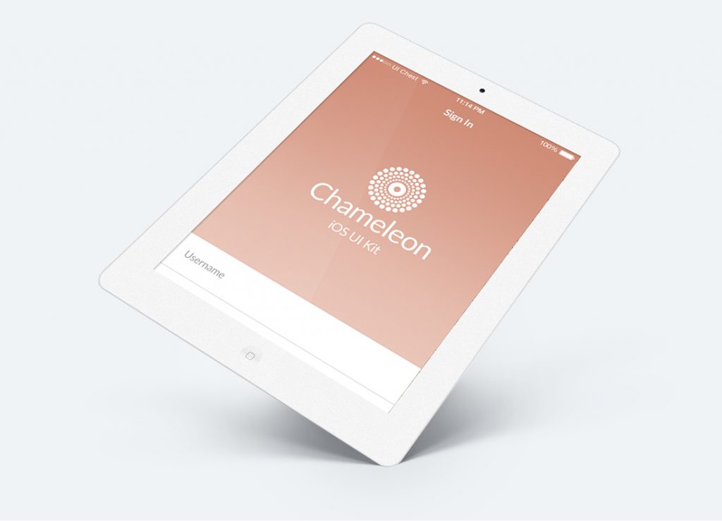 Product Showcase – Bazaar